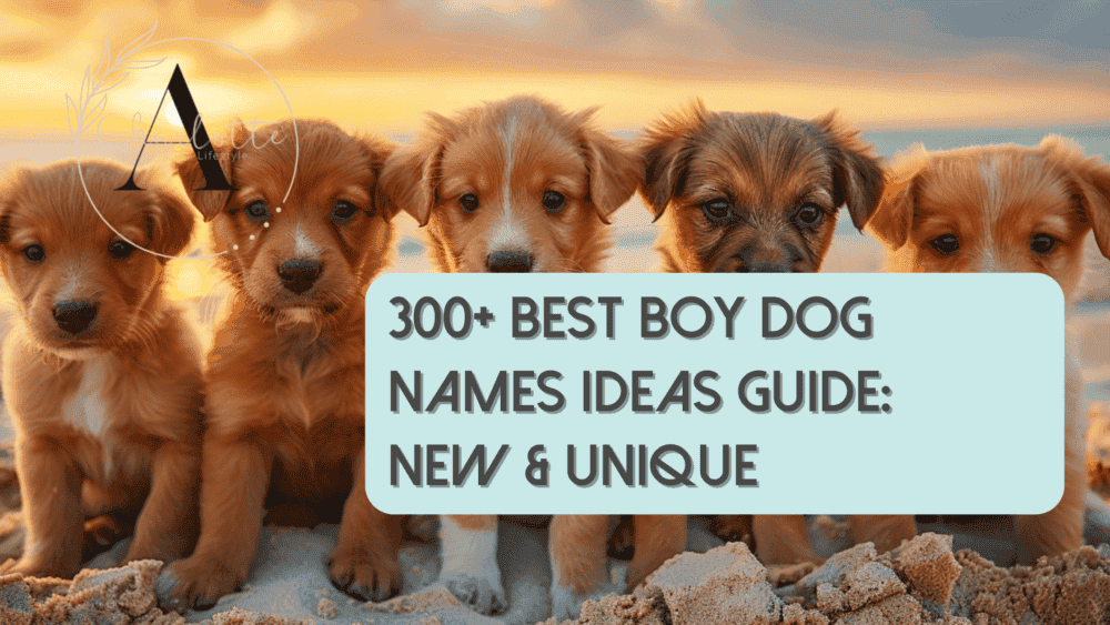 300+ Best Boy Dog Names (2025 Guide): Unique & Fresh Ideas - Adore ...